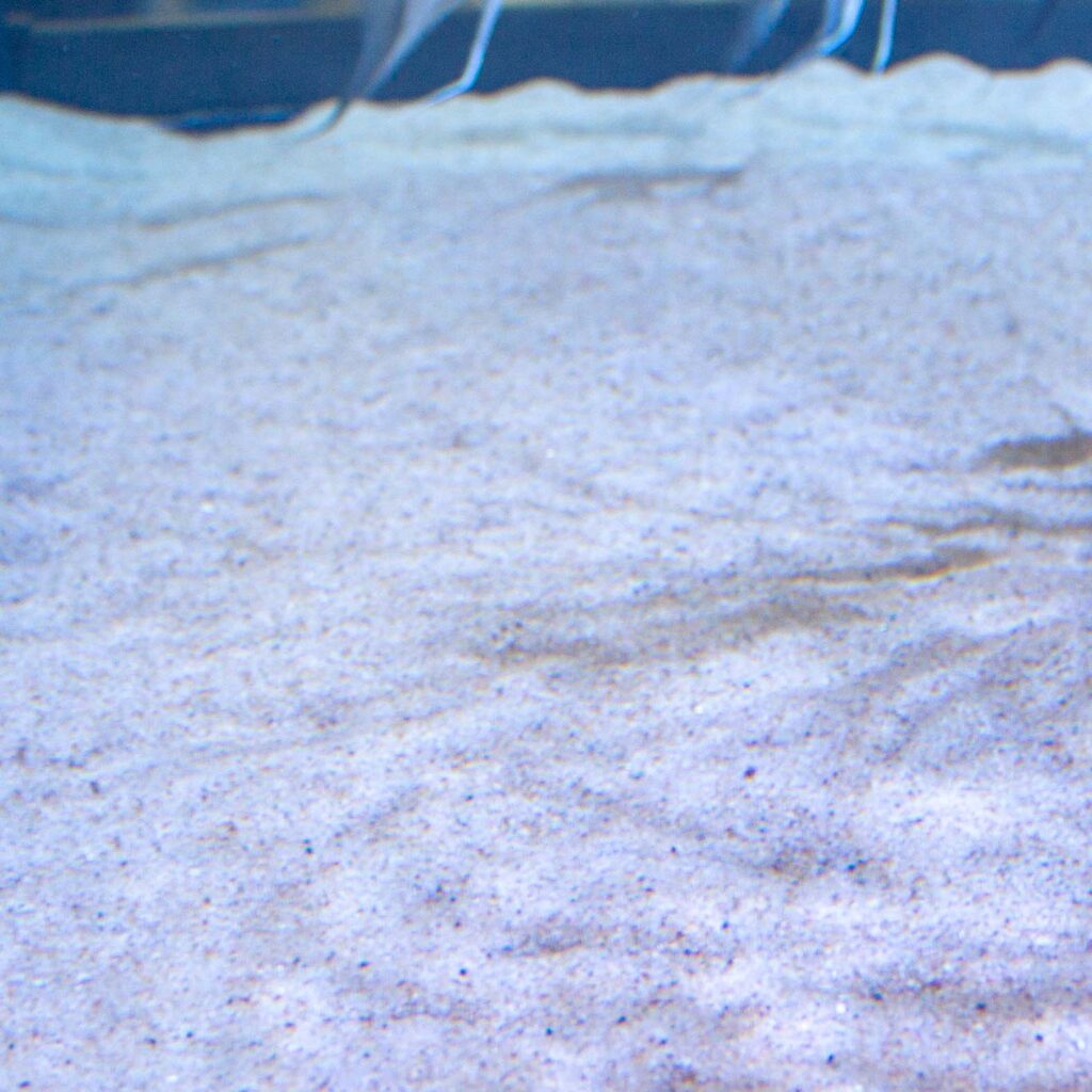 Aquarium Sand Substrate - Custom Aquariums