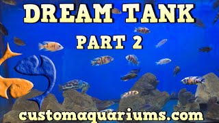 Dream tank Part 2, Lets Take A Close Up Look At The Tank and Talk Some ...
