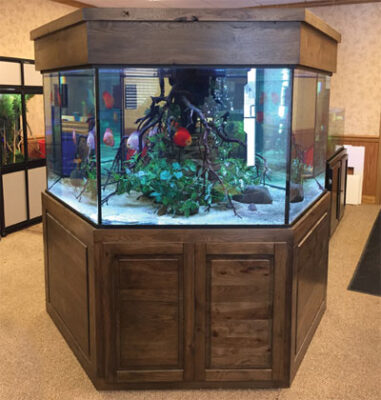 Hexagon Fish Tanks - Custom Aquariums