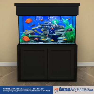 100 Gallon Fish Tank - 100 Gallon Aquarium - Custom Aquariums