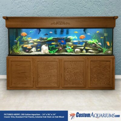 120 Gallon Fish Tank - 120 Gallon Aquarium - Custom Aquariums