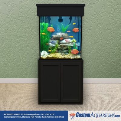 Tall 75 Gallon Aquarium - Tall Glass Fish Tank - Custom Aquariums