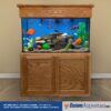 120 Gallon Fish Tank - 120 Gallon Aquarium - Custom Aquariums
