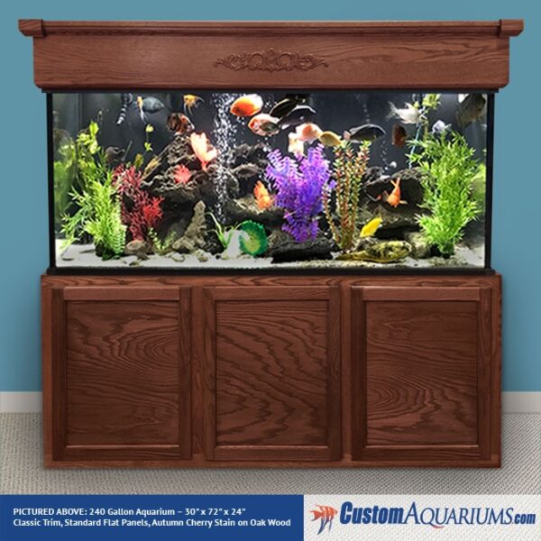 Large Aquariums - Custom Big Fish Tanks - Custom Aquariums