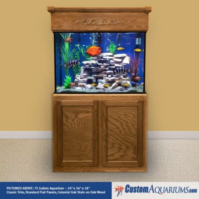 120 Gallon Fish Tank - 120 Gallon Aquarium - Custom Aquariums