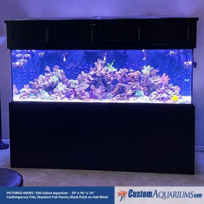 300 Gallon Aquarium - Custom Glass Fish Tank - Custom Aquariums