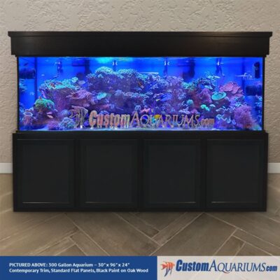 Large Aquariums - Custom Big Fish Tanks - Custom Aquariums