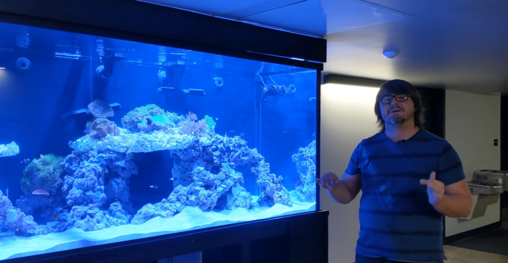 700 Gallon Reef Tank, Largest in QCA - Custom Aquariums