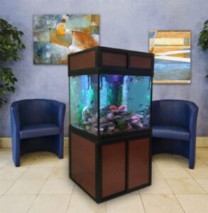 Aquariums For Hospitals, Hospital Fish Tanks - Custom Aquariums