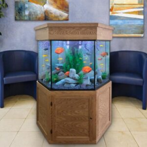 Hexagon Fish Tanks - Custom Aquariums
