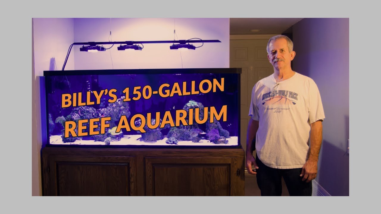 Billy's 150-gallon Reef Aquarium - Custom Aquariums