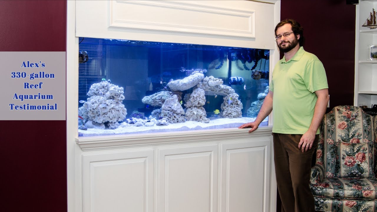 Alex's Reef Display - Custom Aquariums