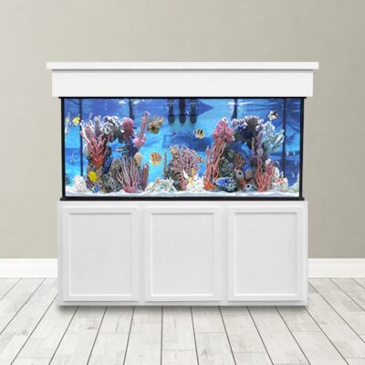 120 Gallon Fish Tank - 120 Gallon Aquarium - Custom Aquariums