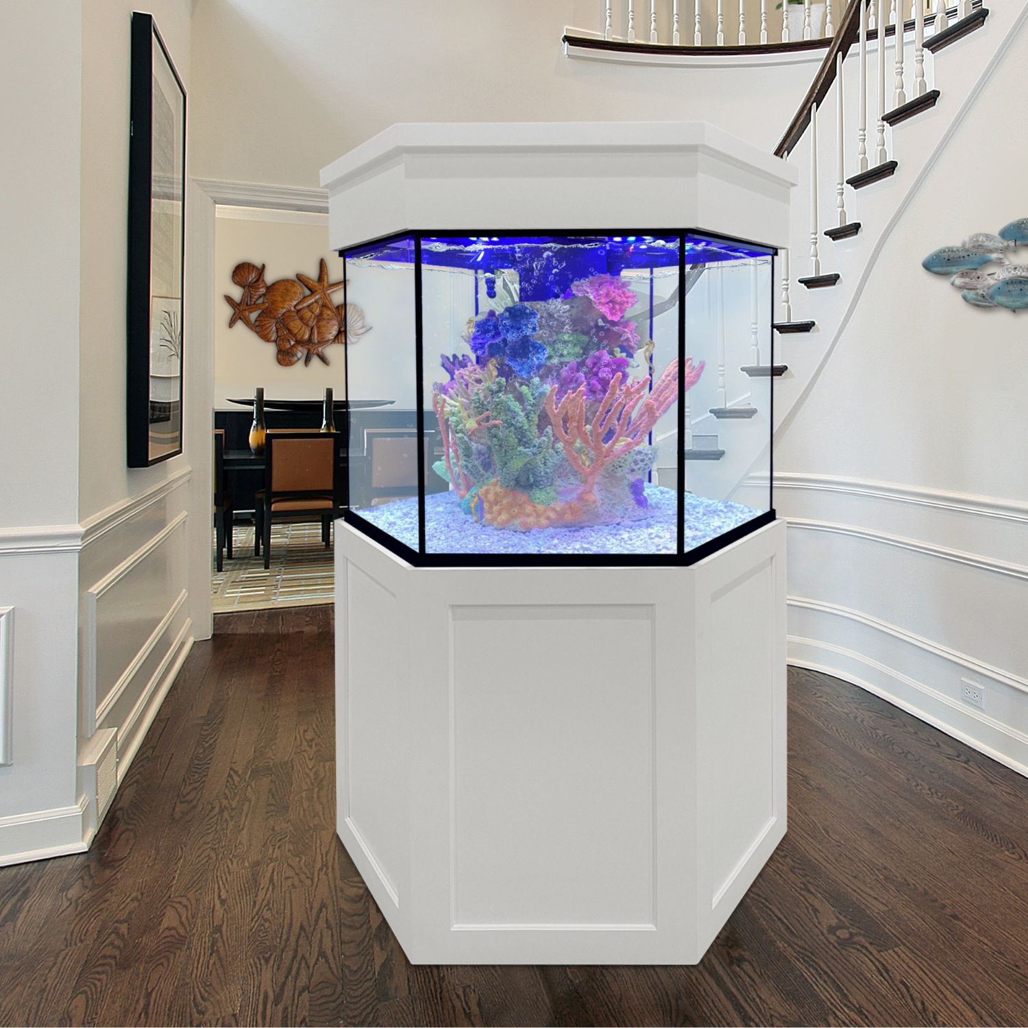 Saltwater Aquariums - Custom Aquariums