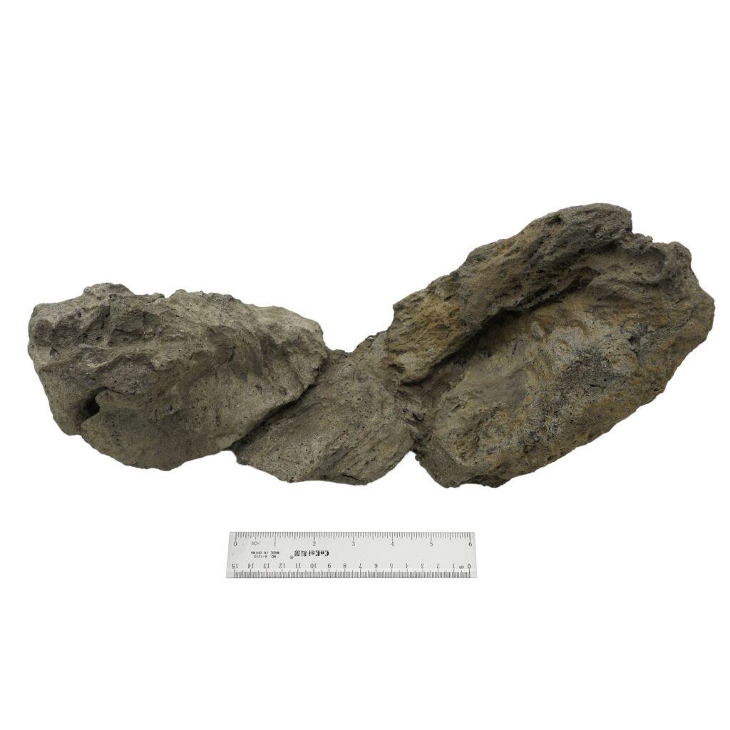 Extra Large Aquascaping Rock - Custom Aquariums