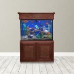 150 Gallon Tall Aquarium - Custom Glass Fish Tank - Custom Aquariums