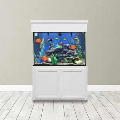 150 Gallon Tall Aquarium - Custom Glass Fish Tank - Custom Aquariums